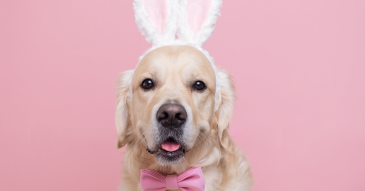 Clear Estate Plans: Guide Heirs, Skip the Egg Hunt